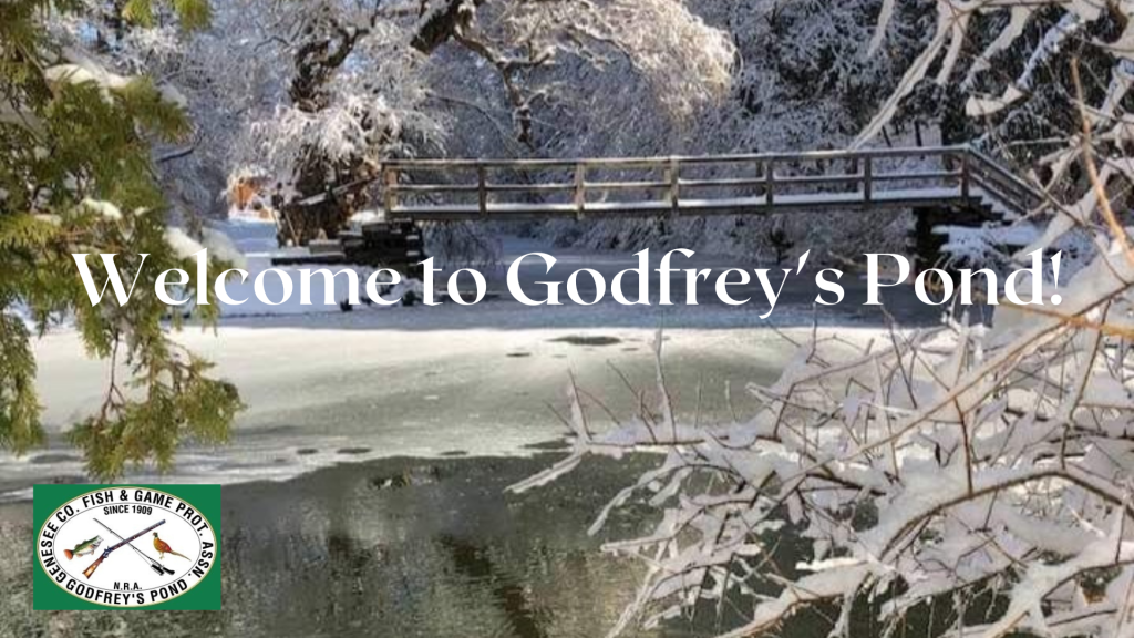 Godfrey's Pond – Genesee County Fish & Game Protective Association, Inc.